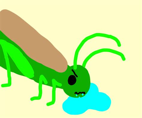 Hideous Grasshopper Drawception Hideous Grasshopper Drawception