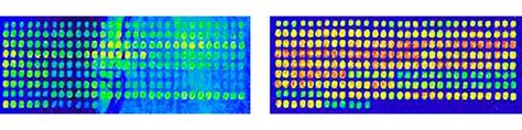 Arrayit Hybridization Cassette Plus Extra Deep