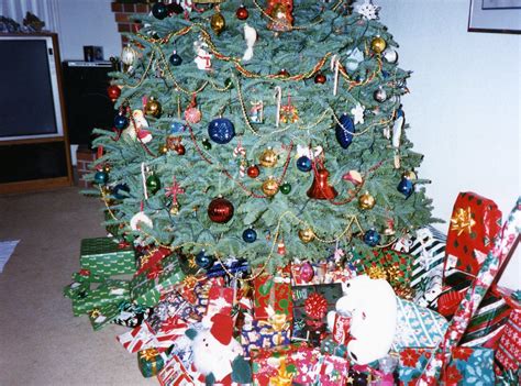 Img321 Bkorose Flickr