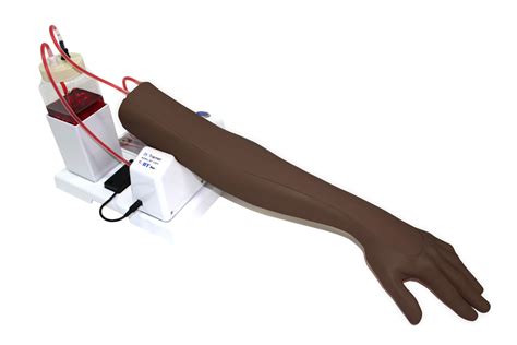 Intravenous Injection Training Arm Model 1 Adult Motor Anchor Simulation