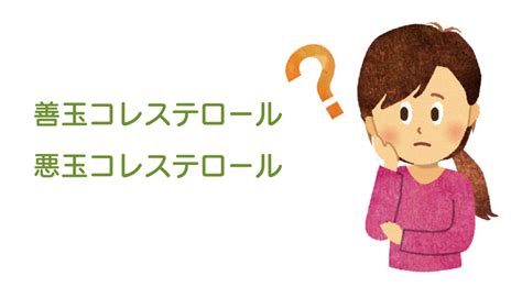 30．悪玉コレステロールは本当に全部悪いの？ │ チーム脳外 脳神経外科医のブログ