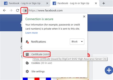 Visiting An Https Web Site With Chrome