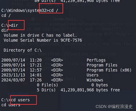 Kali——勒索病毒metasploitkali Mfs Csdn博客