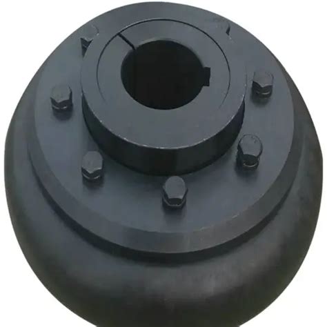 China Hot Selling F Type Flexible Couplings Cast Iron Borer Fenaflex Flex Multi Angle Pump Motor