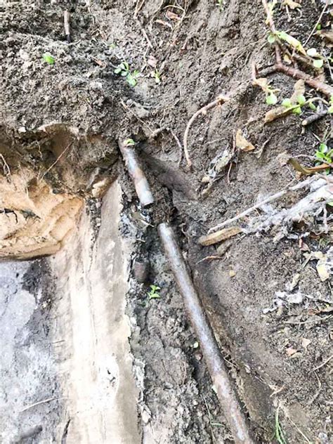 A Plumber That Removes Tree Roots From A Sewer Plumbing