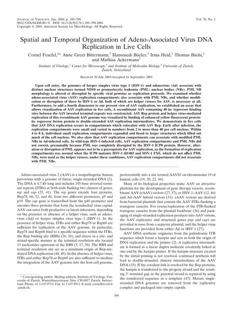 Pdf Spatial And Temporal Organization Of Adeno Associated Virus Dna Replication In Live Cells