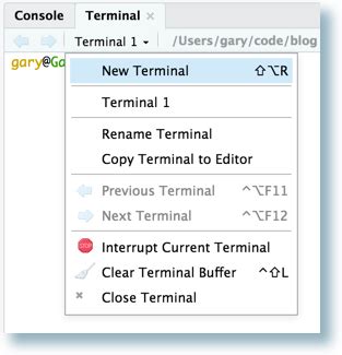Opening Terminal In Rstudio For Mac Penpoliz
