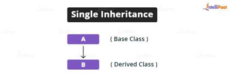 Inheritance In C A Guide For Beginners