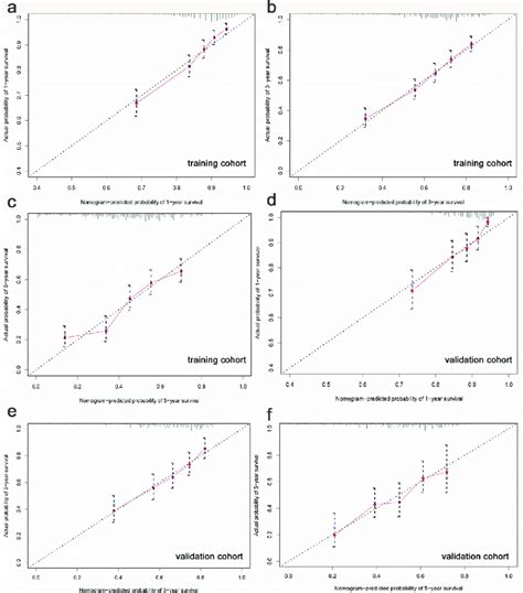 calibration plots of the nomogram for predicting 1 year 3 year 5 year