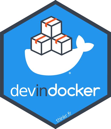 Help Develop A R Project Inside A Docker Container • Devindocker
