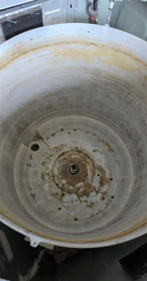 정말꼼꼼하게 깨끗하게 진행해주셨습니다깨끗하게한 사진을 못찍었네요 아이들때문에정신이없어서 정말깨끗해졌습니다 숨고 숨은고수