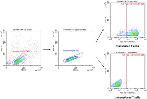 Cell Press Star Protocols