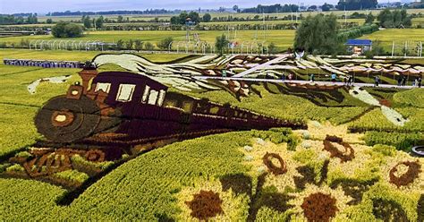 វាលស្រែដ៏ធំរបស់ចិនមួយនេះ ត្រូវបានដាំដុះ និងច្នៃបង្កើតចេញឡើង បានជាទស្សនីយភាព បែបសិល្បៈគួរឱ្យទាក់ទាញ