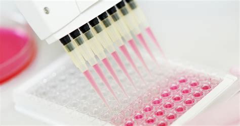 Rapid Pathogen Testing Microsearch Laboratories Ltd