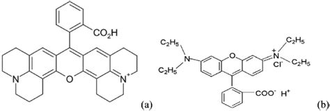 Chemical Structure Of Typical Fluorescent Dyes A Rhodamine 101 B