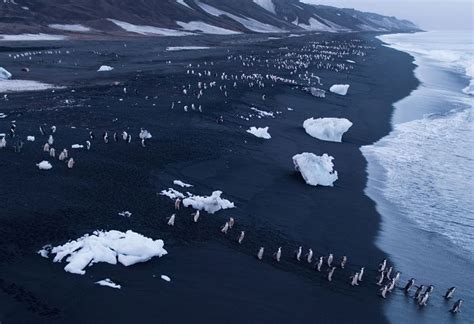 22 Influential Environmental Photographers To Follow In 2024