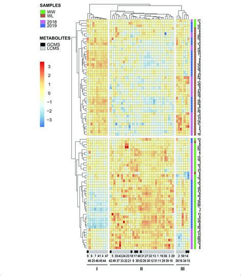 Hierarchical Clustering And Heatmap Of The 52 Leaf Metabolites Download Scientific Diagram