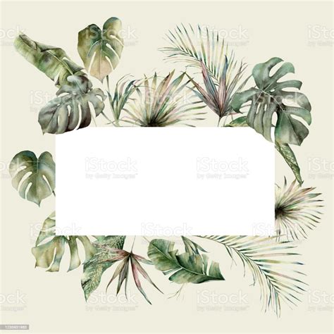 괴물 바나나 코코넛 잎 수채화 열대 국경 손으로 흰색 배경에 고립 된 이국적인 잎을 그린 디자인 인쇄 직물 또는 배경을위한 꽃 그림 열대 기후에 대한 스톡 벡터 아트 및