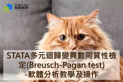 【stata多元迴歸變異數同質性檢定 Breusch Pagan Test 軟體分析教學及操作】 永析統計及論文諮詢顧問
