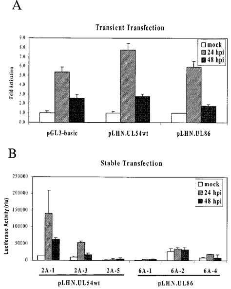 a transient transfection assays using 1 g of dna of the plasmids