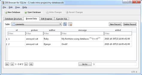Databases Introduction To Making Web Applications