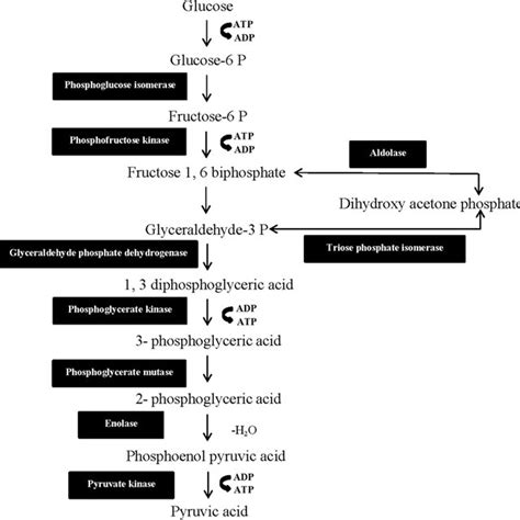 Types Of Sensory Evaluation Methods Used In Bread And Bread Products