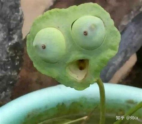 你有哪些无意间拍下的女孩照片，惊艳了众人？ 知乎