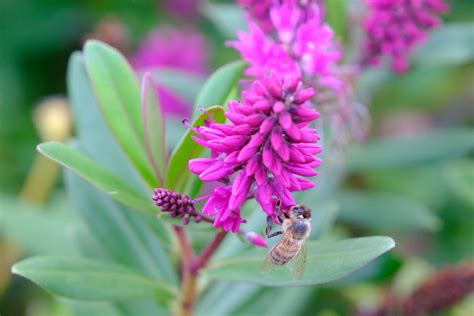 Ccd Vs Cmos Understanding The Differences In Sensor Technology