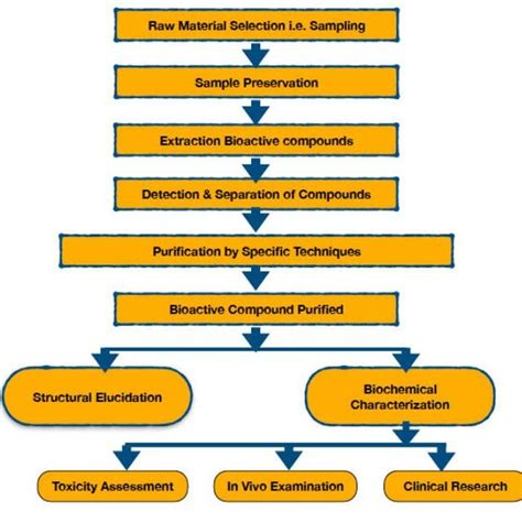 flow diagram of the extraction and purification process of bioactive
