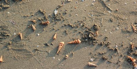 Rca For Tech Managers How To Approach A Product Issue Hackernoon