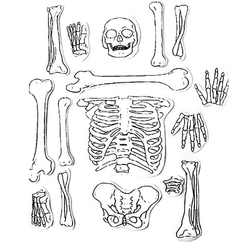 Science Lab Drawing At GetDrawings Free Download