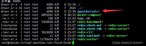 redis持久化之aof找不到appendonly aof文件 appendonly aof位于哪个目录 csdn博客