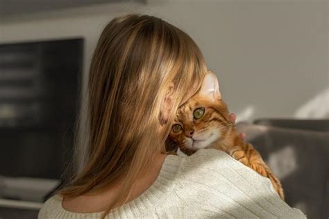 What Does It Mean When A Cat Head Bumps You