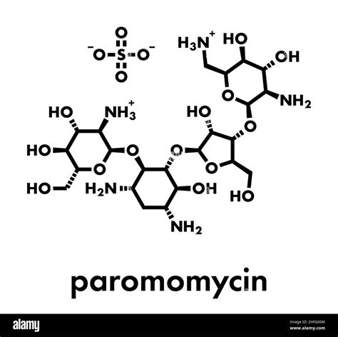 Paromomycin Aminoglycoside Antibiotic Drug Molecule Skeletal Formula Stock Vector Image And Art