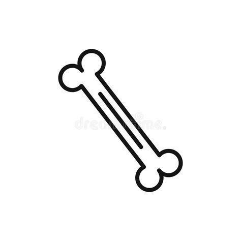 Bones Icon Thin Line Art Isolated Stock Vector Illustration Of Skeleton Physiology 340575442