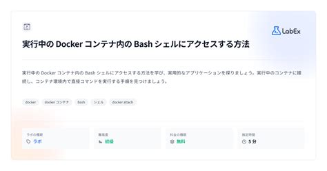実行中の Docker コンテナ内の Bash シェルにアクセスする方法 Labex