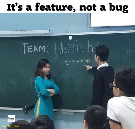 it s a feature not a bug… r programmerhumor