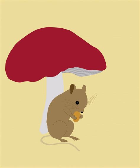 40 Free Field Mouse And Mouse Images Pixabay