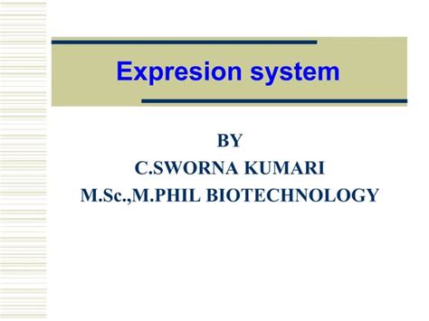 Expression System Final Pptx Programming Languages Computing