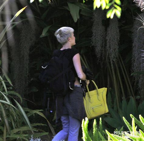 Miley Cyrus Can T Be Tamed Page The L Chat