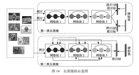 knowledge distillation comprehensive survey 教师模型和学生模型分别输入不同数据 csdn博客