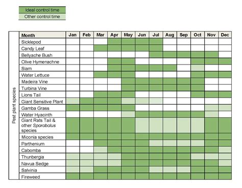 Pest Control Schedule Template