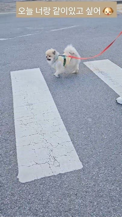 오늘 너 집에 안가면 안되냐 🙊 박지현 박지현사투리 Youtube