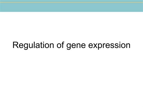 21 Gene Expression Ppt Genetics Science