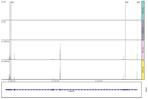 Visualize Genomeprotein Coverage With Various Annotations • Ggcoverage