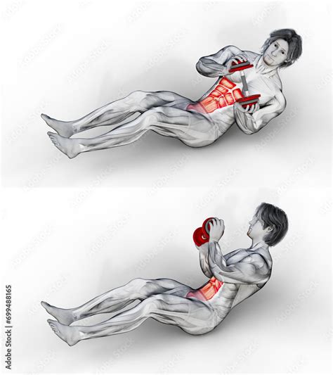 489 Abdominals Dumbbell Russian Twist 3d Anatomy Of Fitness And