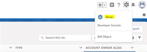 Getting The Salesforce Api Version Carl De Souza