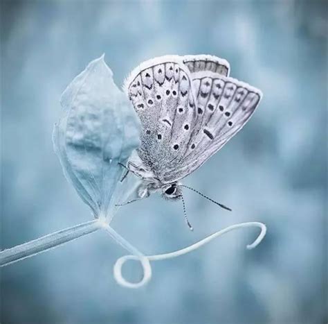 沈啦啦呀 的想法 事关梦想，还要无动于衷吗？ ——所有随风而逝的都属于昨天，所有历经风雨留下来的才是面向未来的。 ——梦想一旦被付诸行动，就会变得神圣。——梦想，可以天花乱坠，理想，是