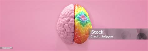 빈 Bg에 3d 렌더링 일러스트 왼쪽 분홍색과 오른쪽 다채로운 두뇌 우뇌반구에 대한 스톡 사진 및 기타 이미지 우뇌반구 좌뇌반구 개성 개념 Istock