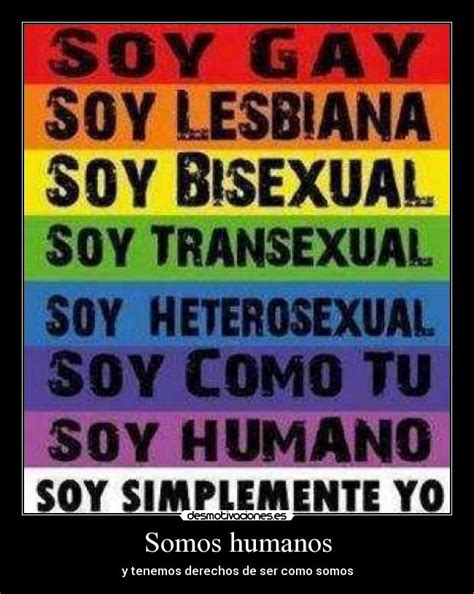 Im Genes Y Carteles De Heterosexual Pag Desmotivaciones
